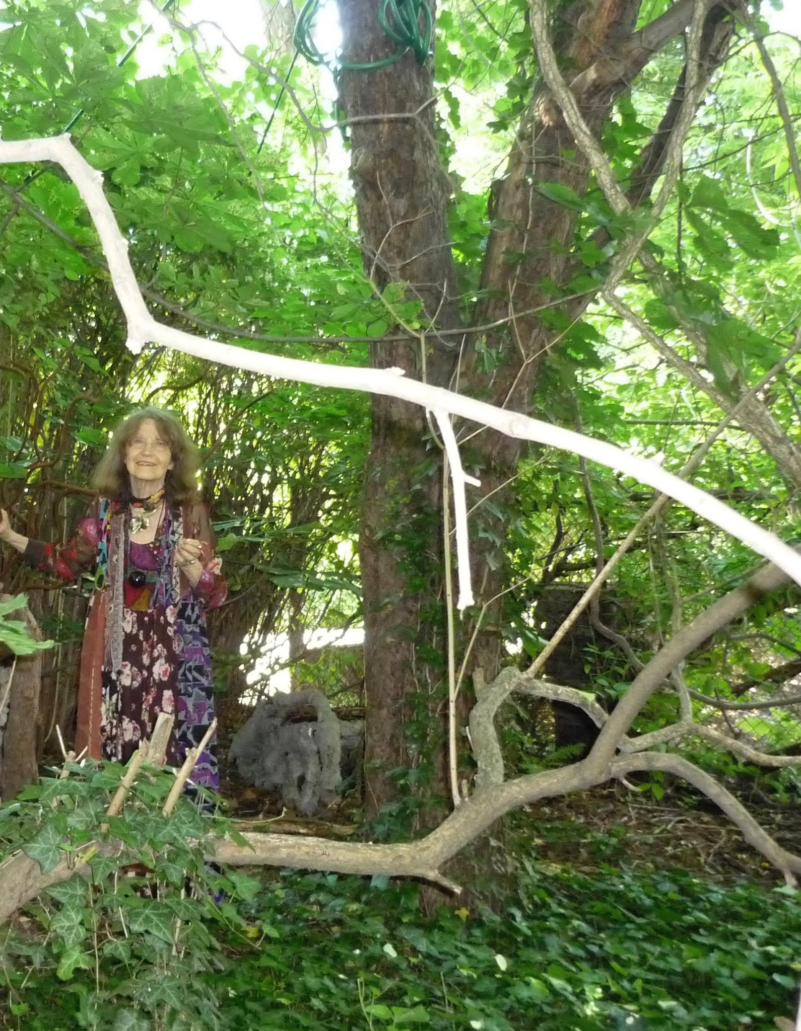 The Tree - Life in a Jar